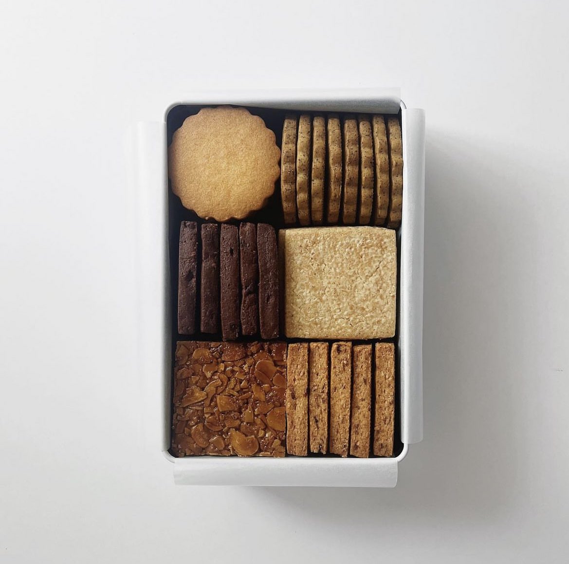 Biscuit Therapy. – Present & Correct